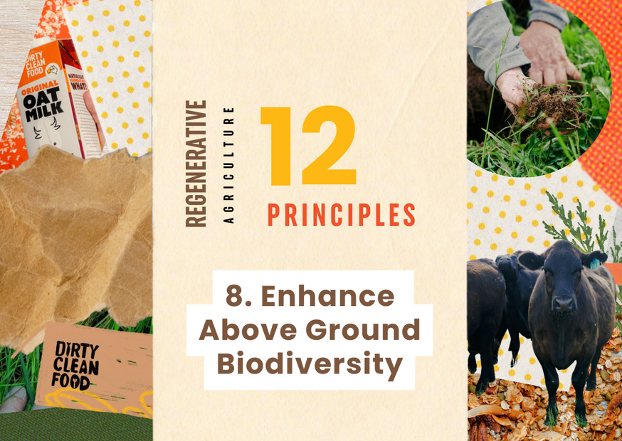 Regen Ag #8-Enhance Above Ground Biodiversity — Dirty Clean Food