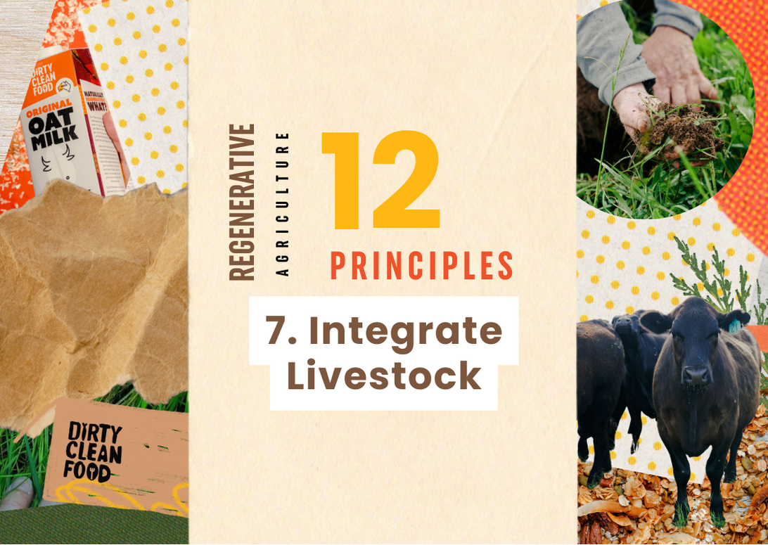 Regen Ag #7- How Our Farmers Integrate Livestock — Dirty Clean Food
