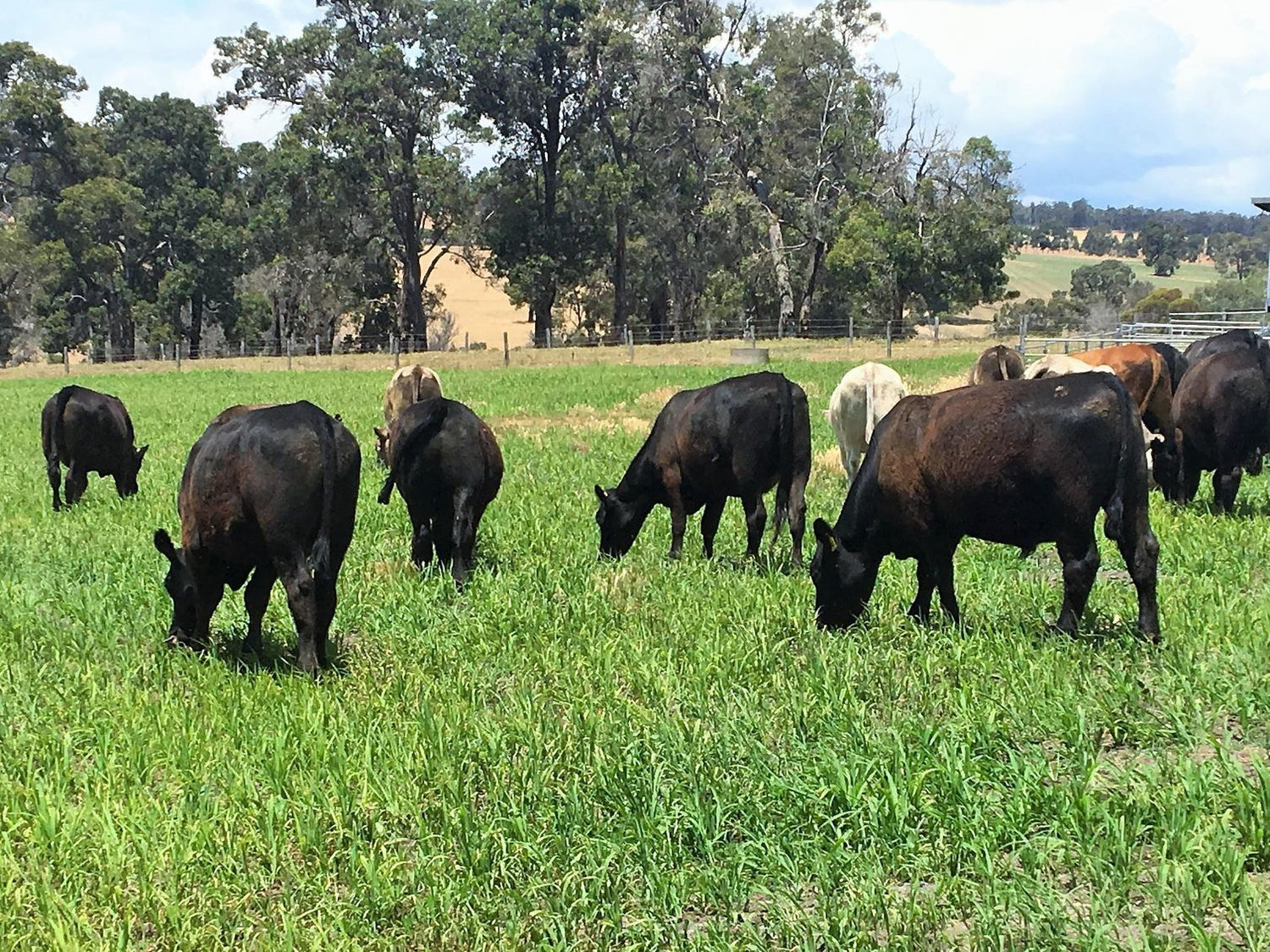 Our Farmers — Dirty Clean Food